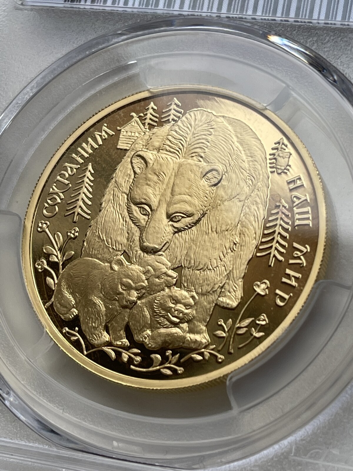 Russia 200 Roubles 1993 ММД 200 Ruble Gold Coin 1993 Brown Bear Proof ...