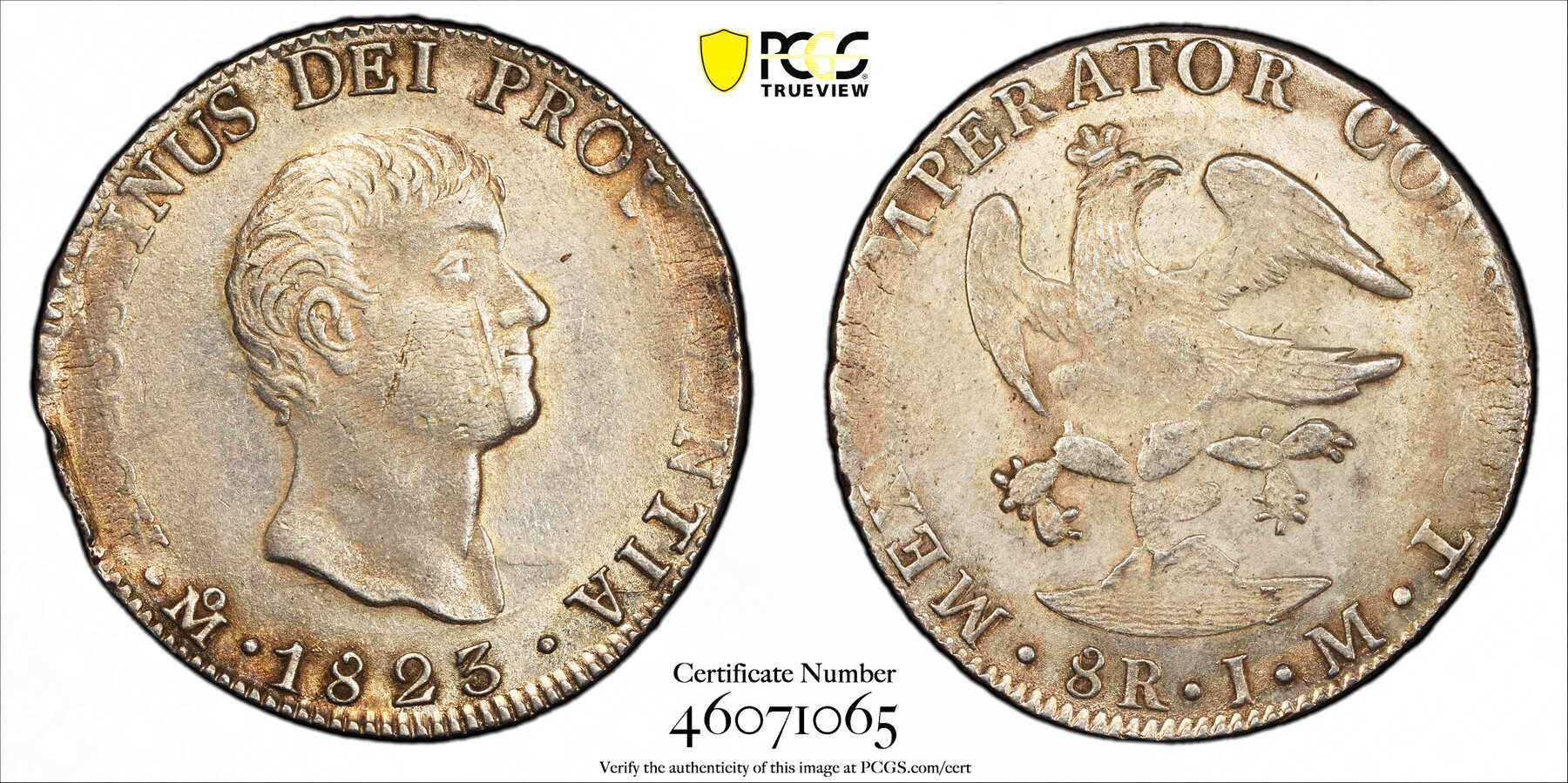 Mexico 8 Reales 1823 Agustin IIturbide (Emperor). PCGS AU | MA-Shops