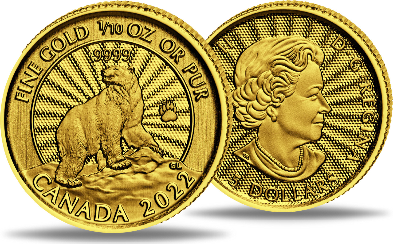kanada-gold-coin-polar-bear-2022-1-10-oz-canada-gold-999-polar-bear